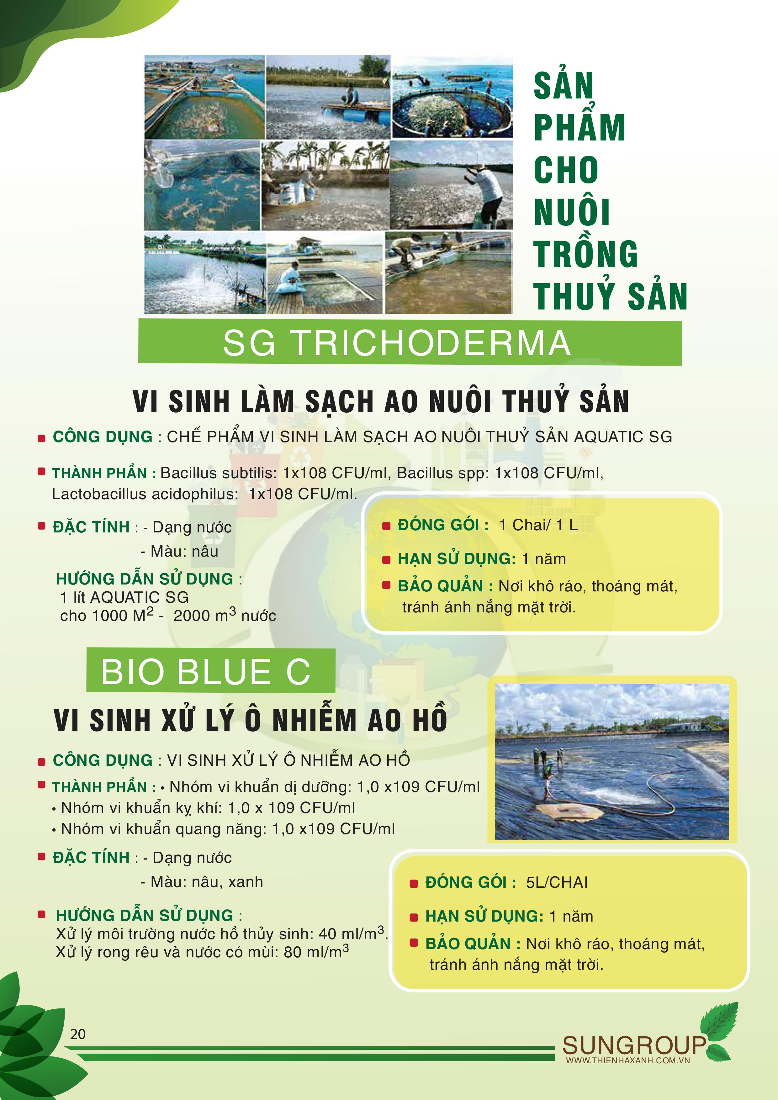 BIO BLUE C- TRICHODERMA– Men vi sinh xử lý nước sau ao nuôi - CÔNG TY ...